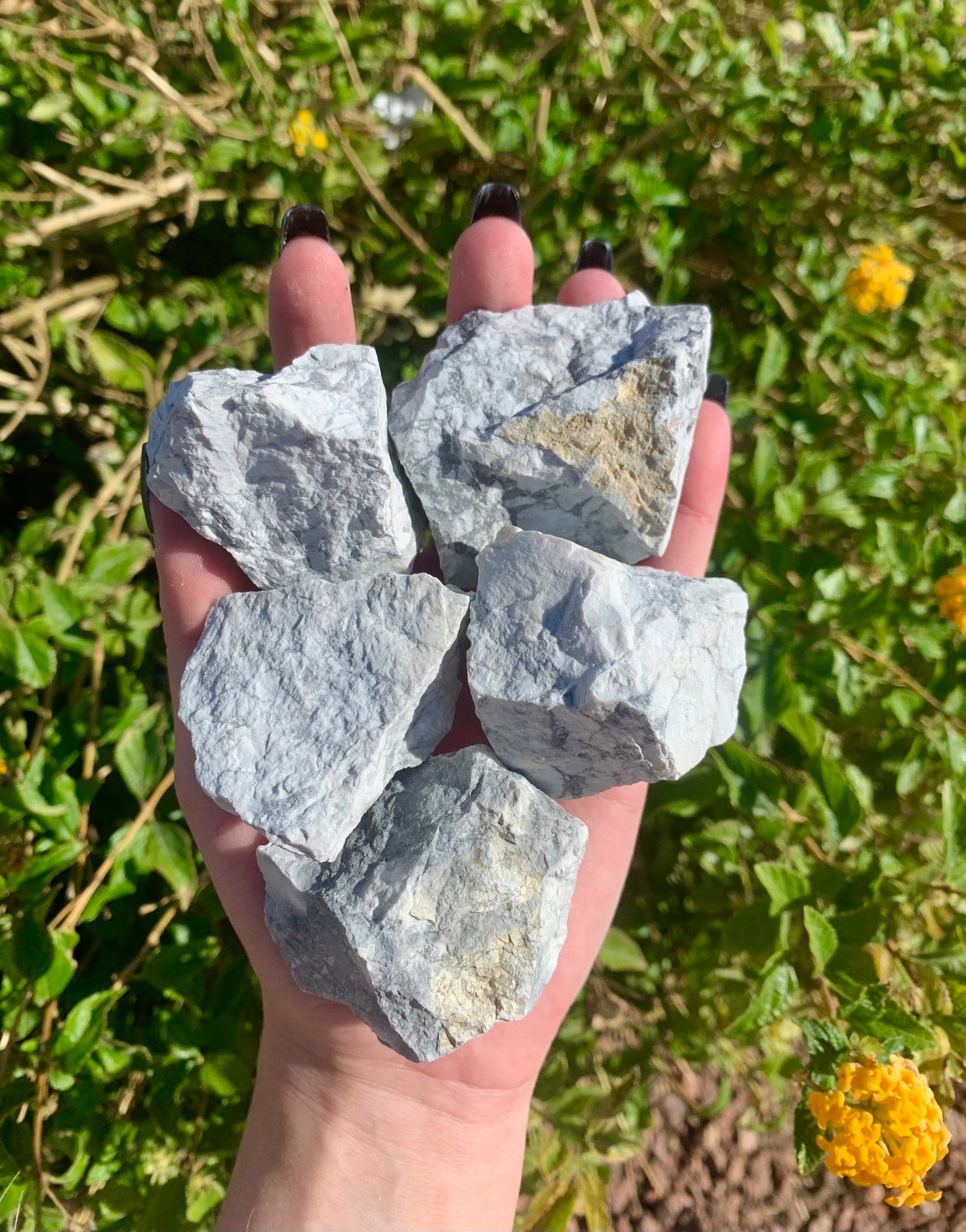 One Rough Howlite Chunk Raw Howlite Piece Natural Howlite | Etsy