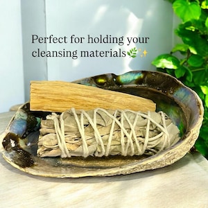 Abalone Shell, New Zealand Abalone, Smudge Bowl, Holds Smudge Kits ...