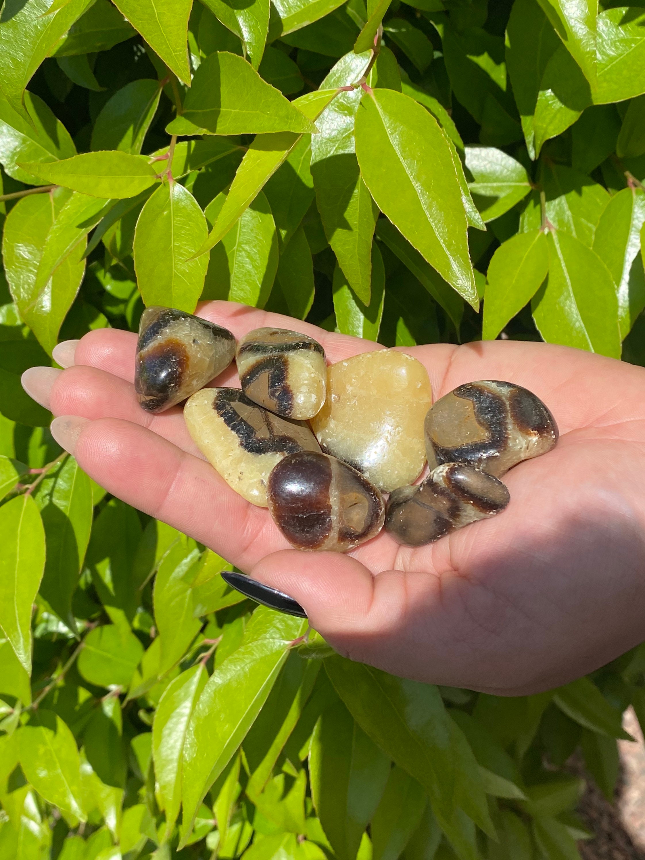 Septarian Tumbled Stone Septarian Energy Stone Meditation - Etsy