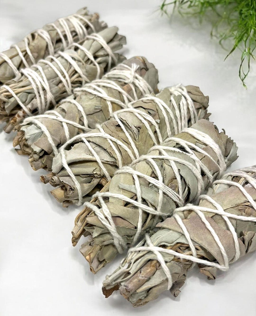 Wholesale White Sage Smudge Bundles: Select From 1-50 Quantities of Fresh 4" Sage Sticks for ...