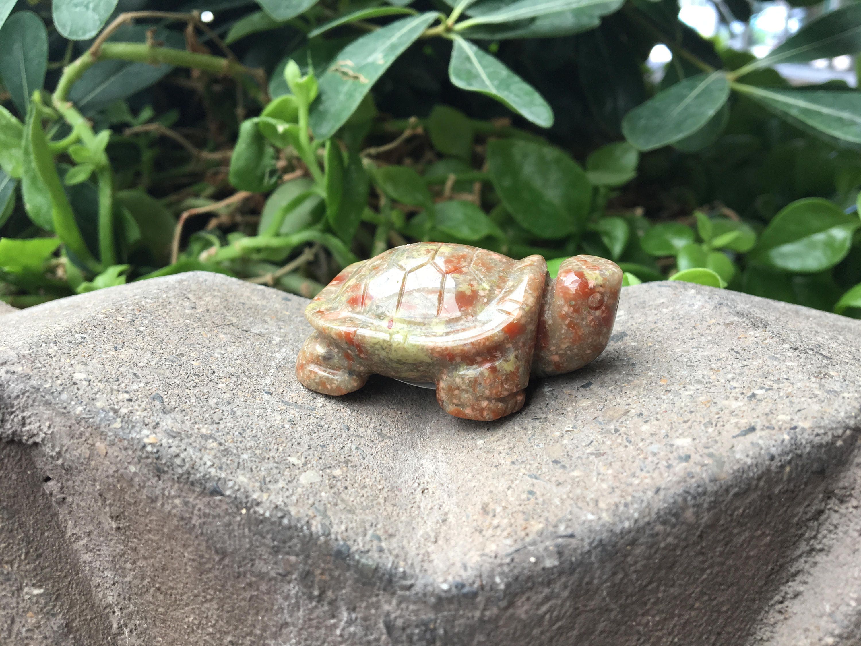 Sea Jasper Turtle Stone Carving Turtle Carving Crystal - Etsy