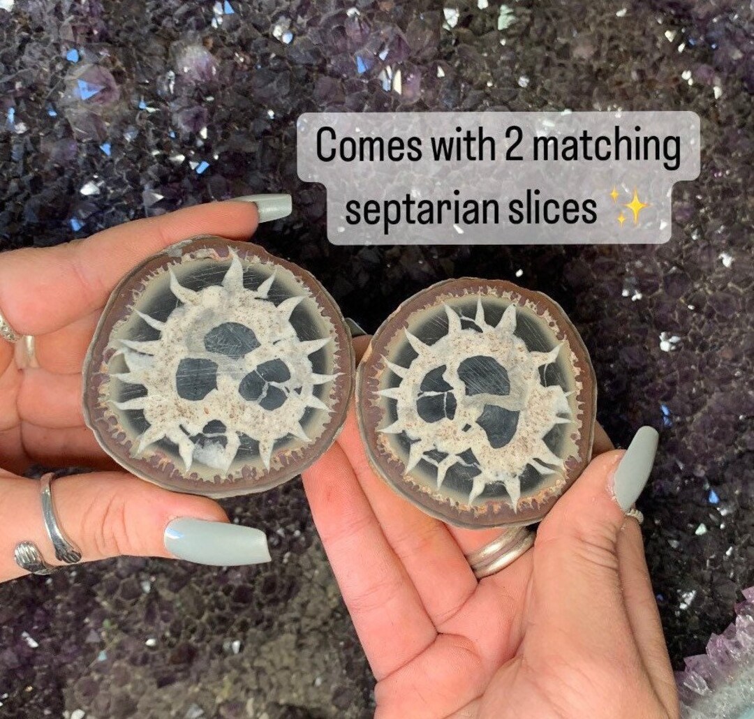 Morocco Septarian Nodule Pair (2 Sizes Available), 2 Matching Septarian ...