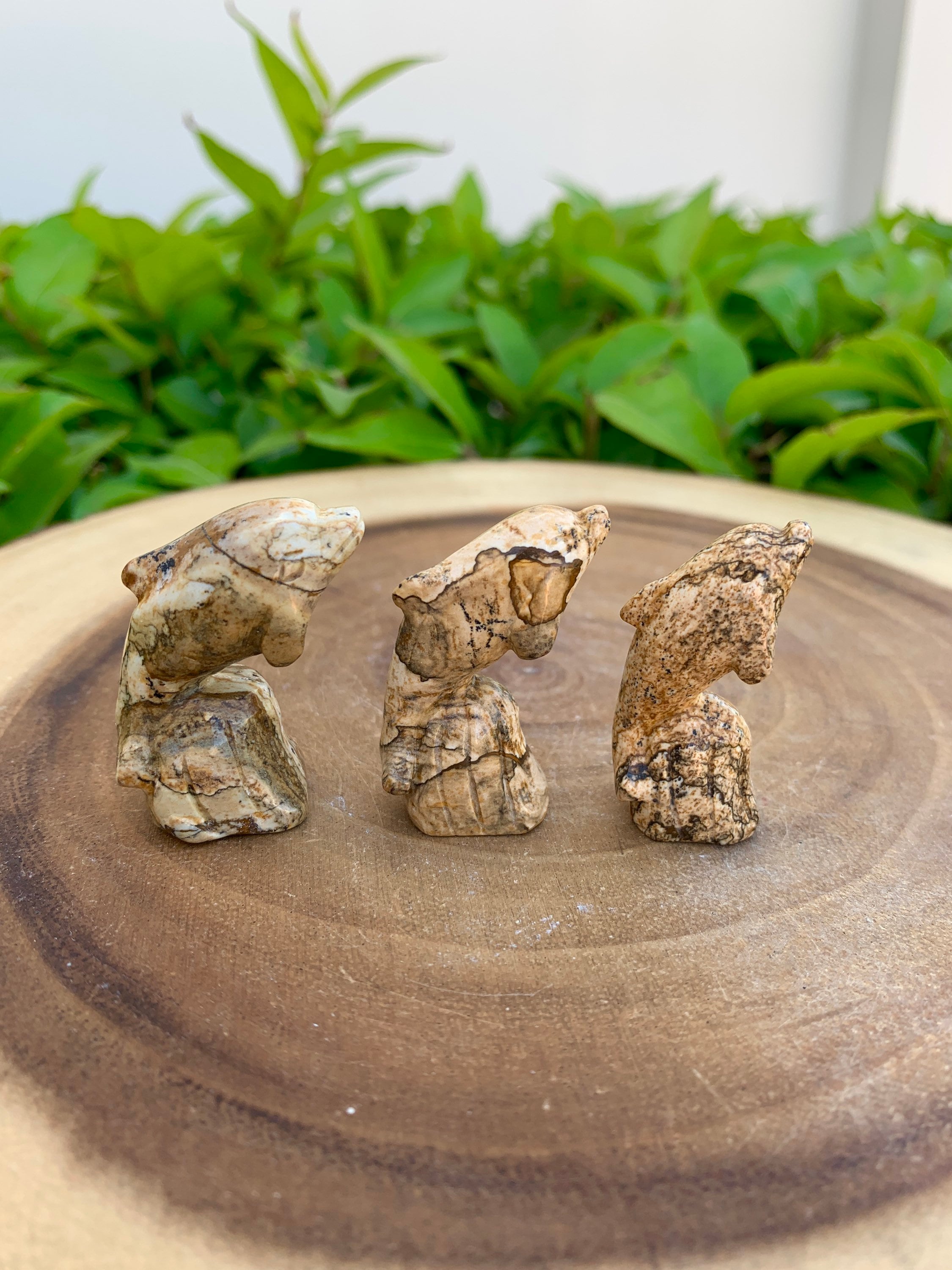 Mini Desert Jasper Dolphin Statue Polished Carving Crystal - Etsy