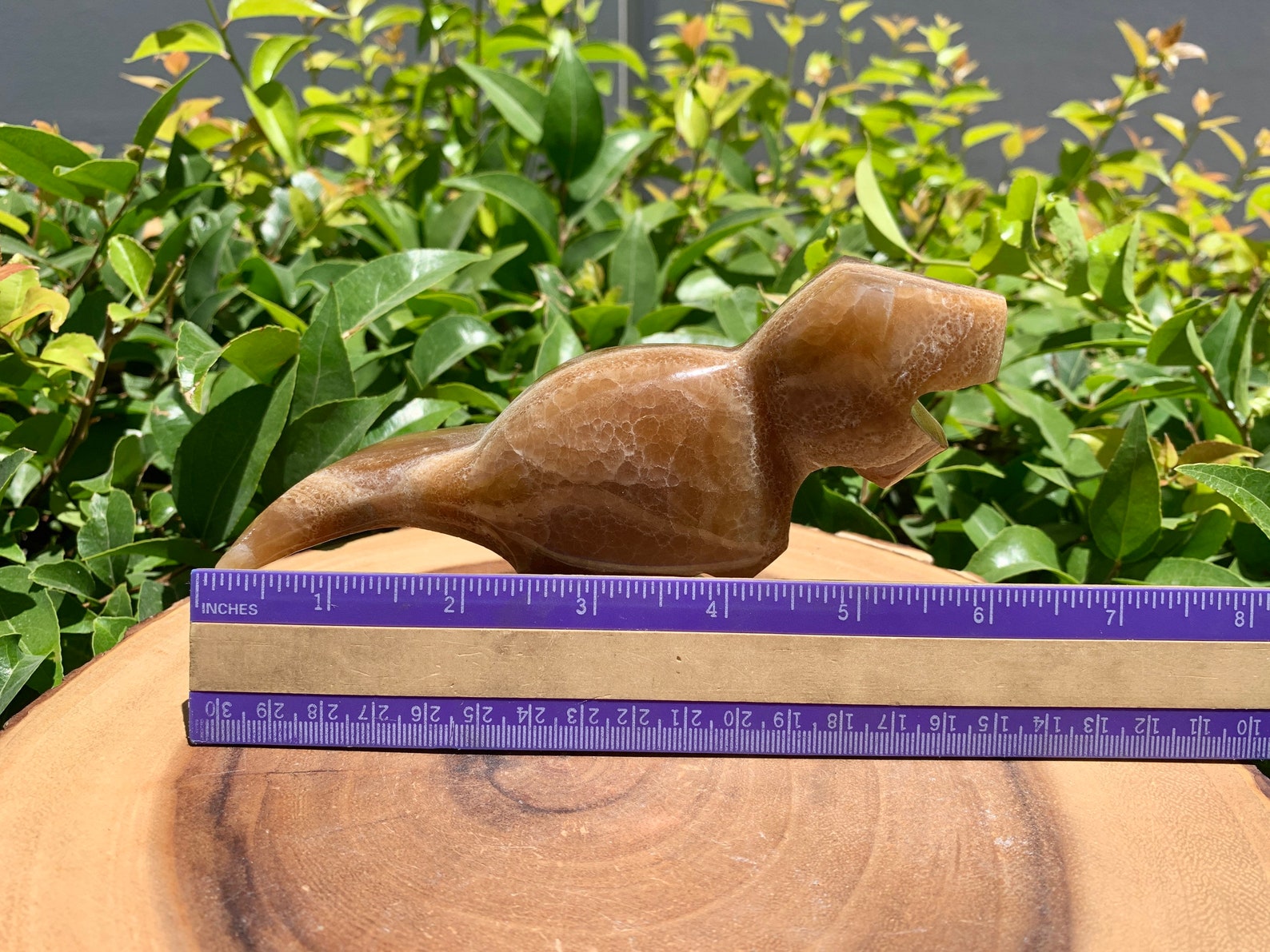 Large Amber Onyx T-rex Carving Tyrannosaurus Carving Stone - Etsy