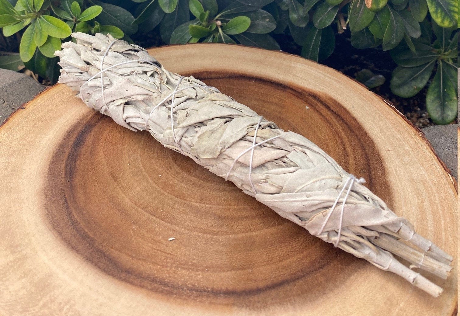 Sage Bundle 7 Inch Sage Sage Bundle Cleansing Clear Energy | Etsy