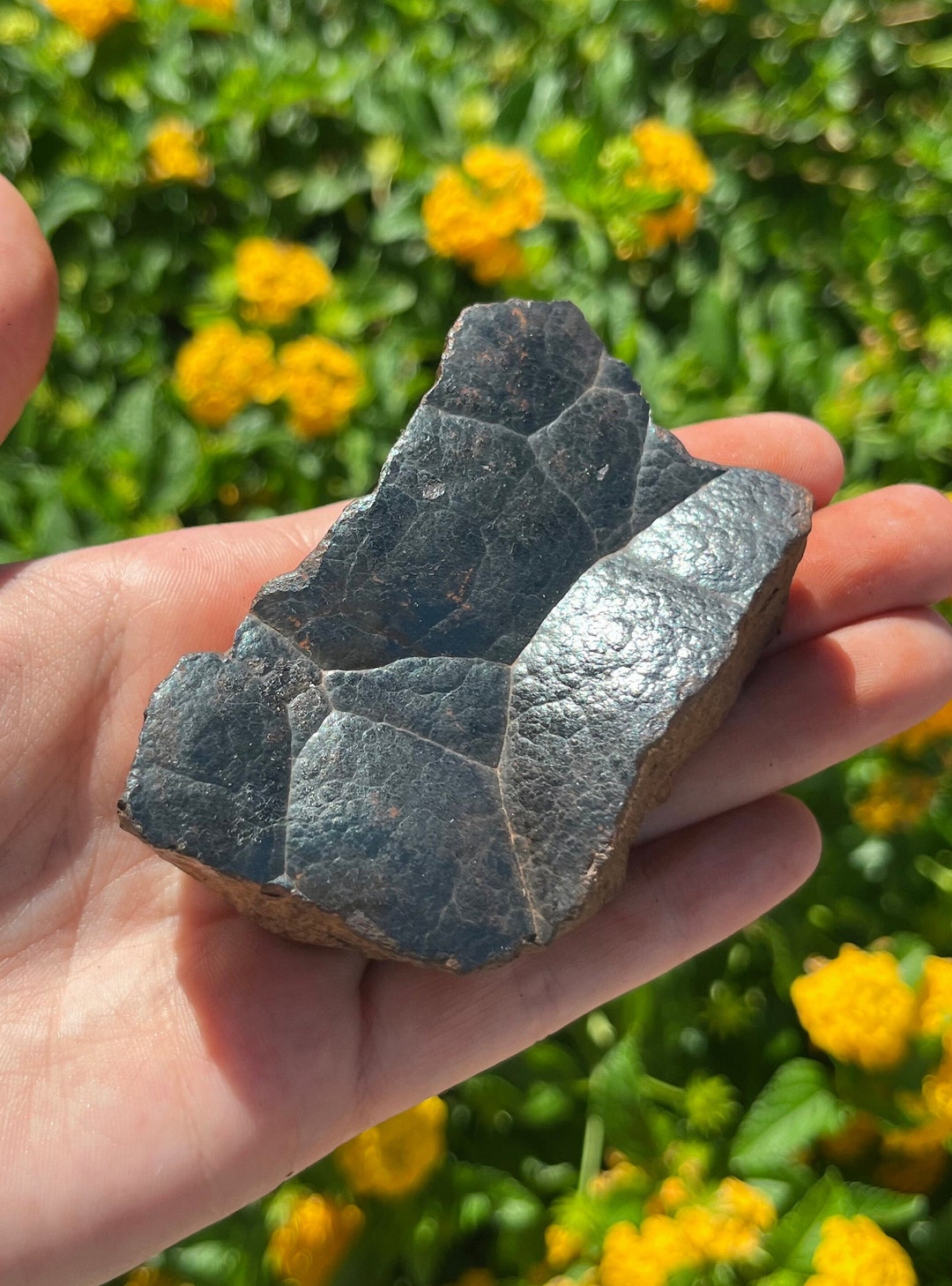 Raw Hematite Specimen, Rough Botryoidal Hematite Iron, Root Chakra ...