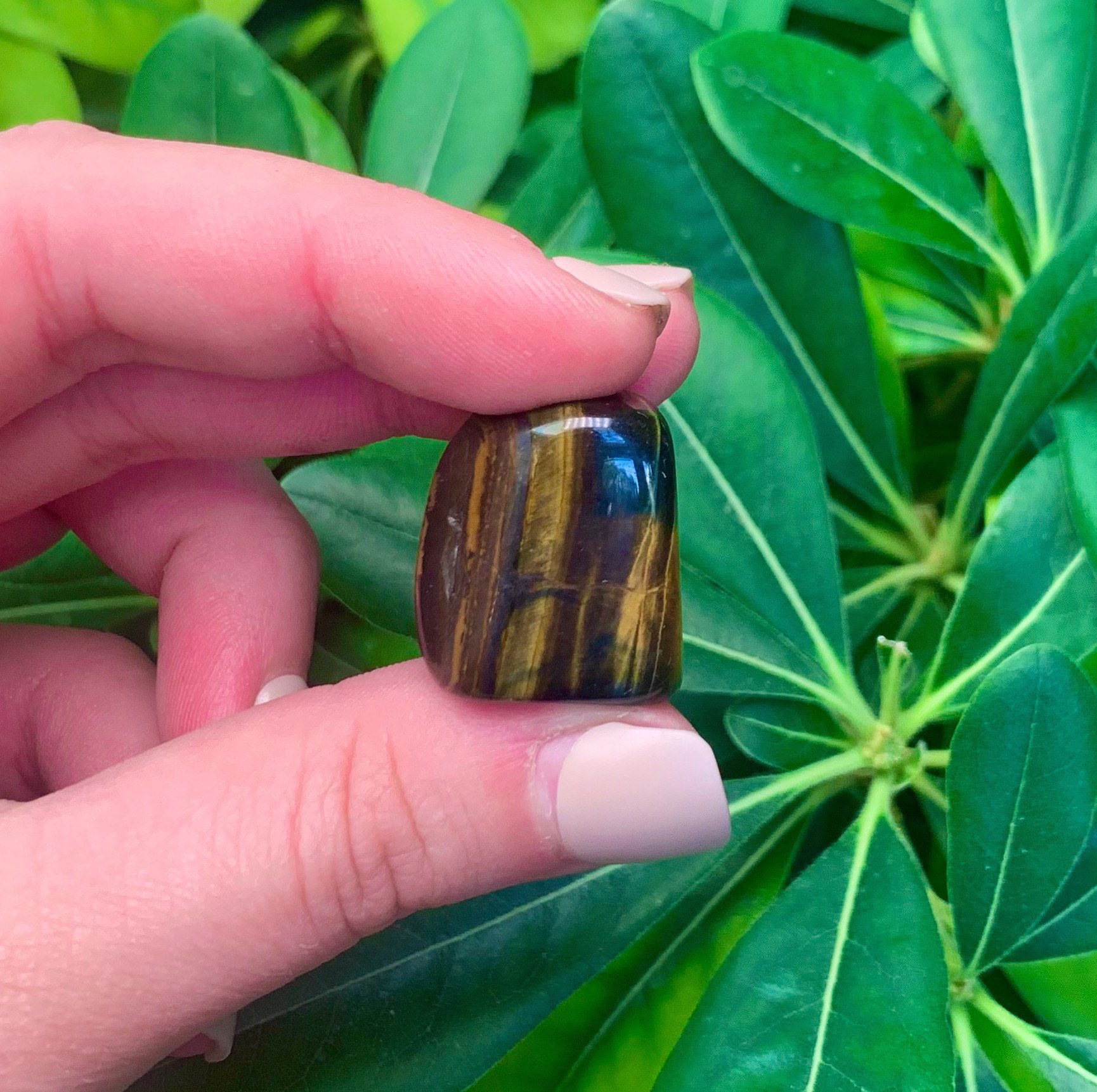 Blue Tiger's Eye Tumbled Stone One Blue Tiger's Eye | Etsy