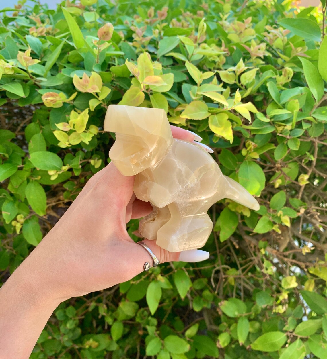 Large Amber Onyx T-rex Carving Tyrannosaurus Carving Stone - Etsy