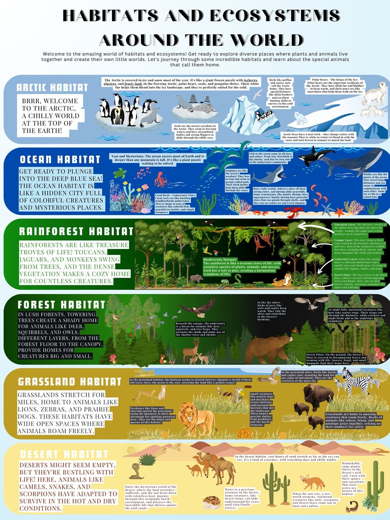Educational Habitats Poster for 4th Graders Printable 18x24 PDF/JPG - Etsy