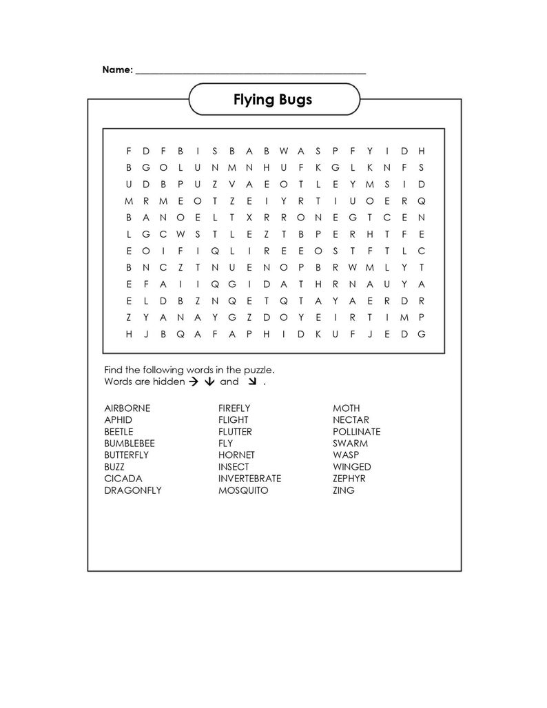 4th Grade Word Search Bundle Homeschool Curriculum Digital Download - Etsy