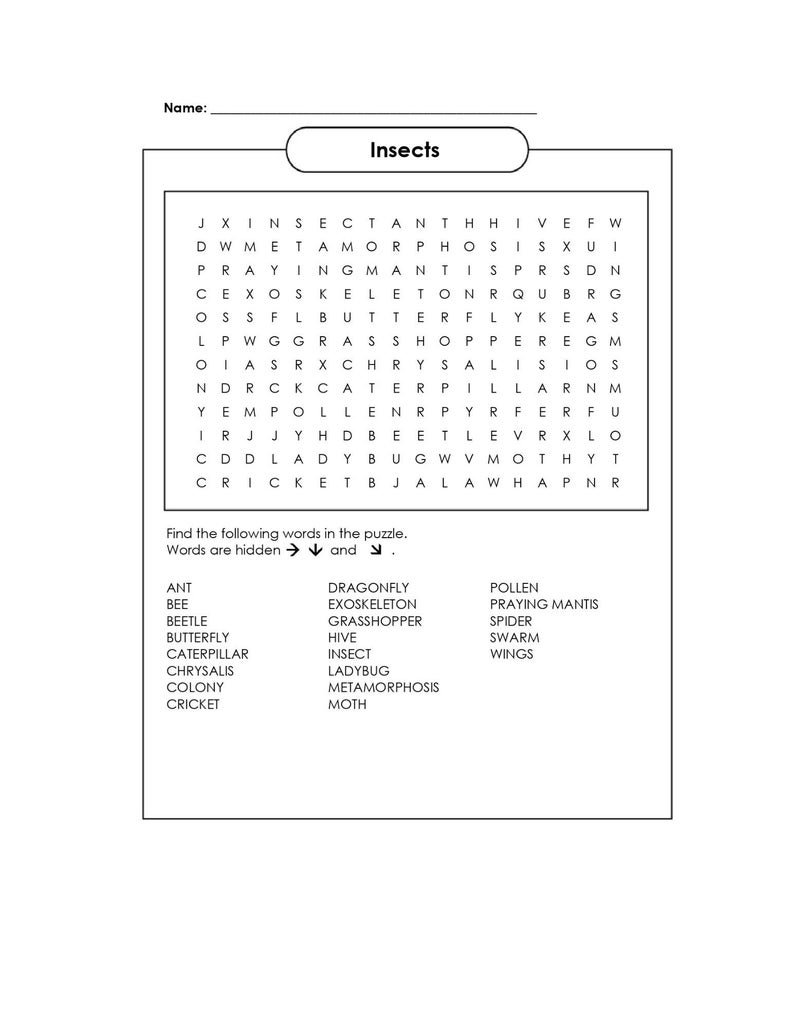 4th Grade Word Search Bundle Homeschool Curriculum Digital Download - Etsy
