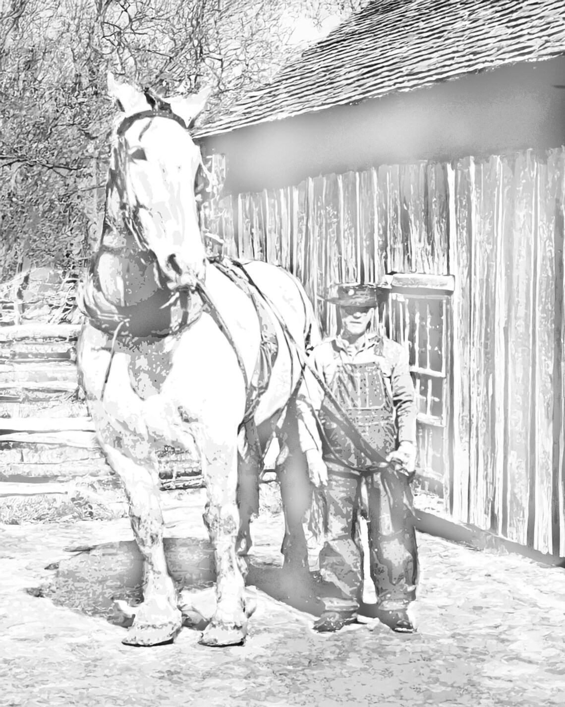 Very Large Work Horse and Farmer - Vintage Early 20th Century - Etsy