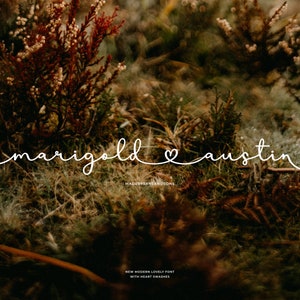 Abigail Script Font - Lovely Font, Calligraphy Font, Handwritten Font ...