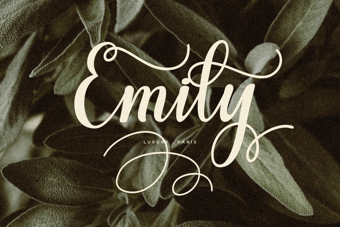Timberly Swashes Font Calligraphy Font Modern | Etsy