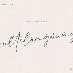 Salty Feathers - Wedding Font, Procreate Font, Canva Font, Logo Font, Modern Font, Boho Font ...