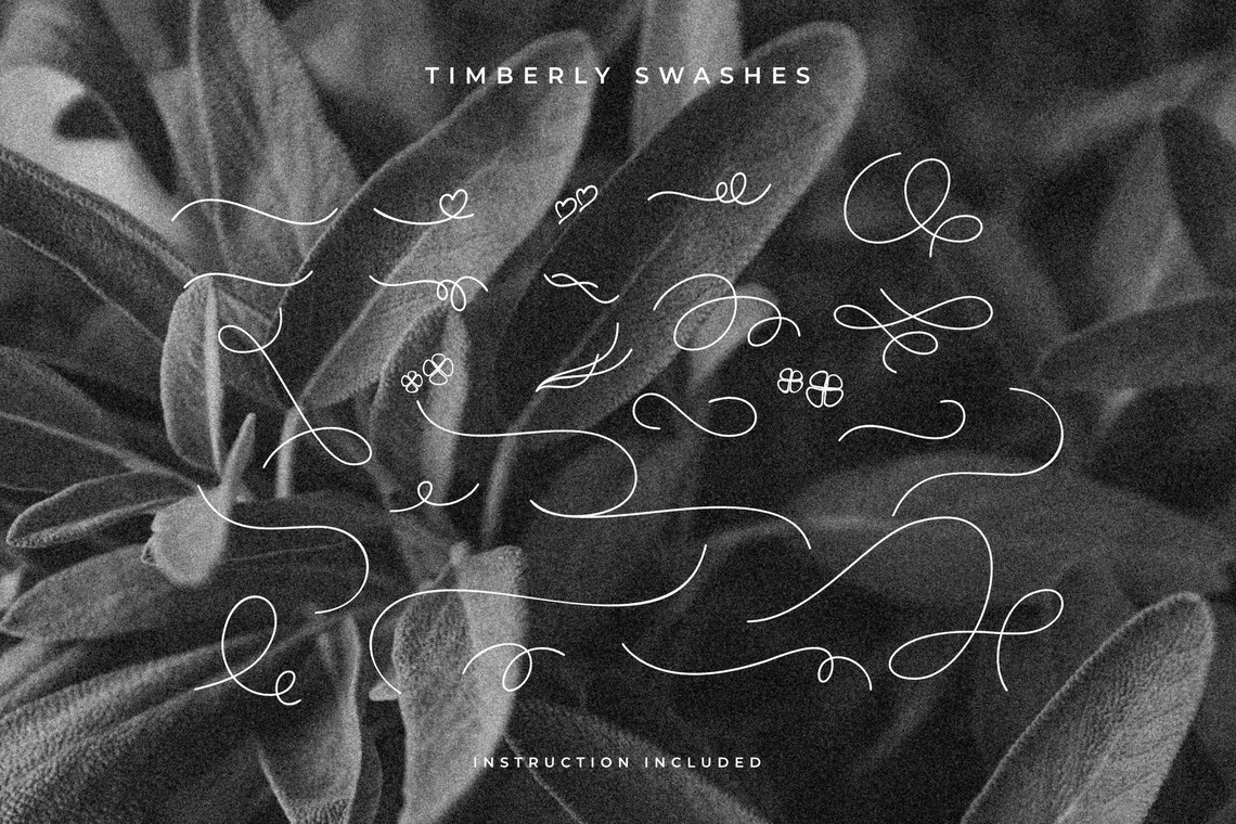Timberly Swashes Font Calligraphy Font Modern | Etsy