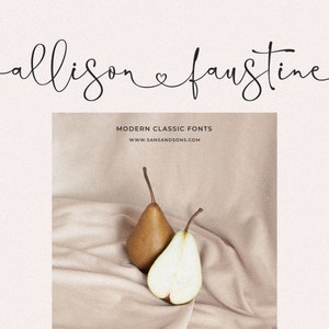 Antlers - Signature Font, Script Font, Wedding Font, Modern Font ...