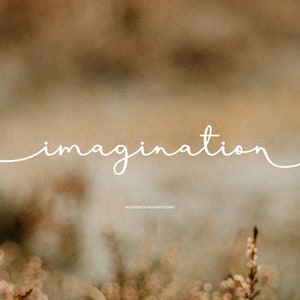 Abigail Script Font - Lovely Font, Calligraphy Font, Handwritten Font ...