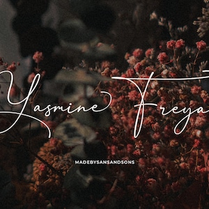 Emily Brunette - Calligraphy Font, Wedding Font, Modern Font, Script ...