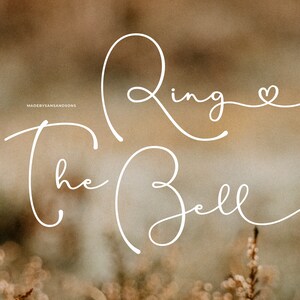 Abigail Script Font - Lovely Font, Calligraphy Font, Handwritten Font ...