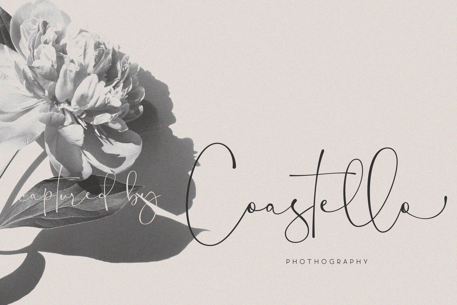 Bethany Script Romantic Font Procreate Font Modern - Etsy