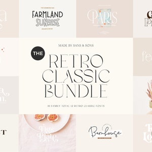 Special 48 Font Bundle Vol. 2 - Cricut Font, Procreate Font, Canva Font ...