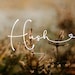 Abigail Script Font Lovely Font, Calligraphy Font, Handwritten Font ...