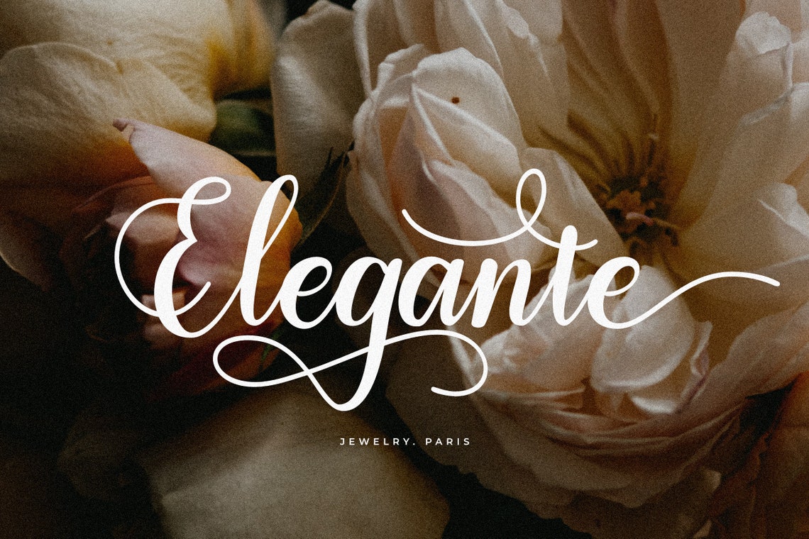 Timberly Swashes Font Calligraphy Font Modern | Etsy