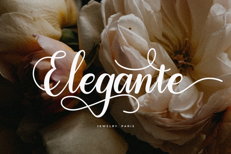 Timberly Swashes Font Calligraphy Font Modern | Etsy