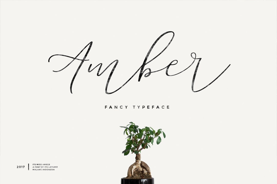 Miss Amber Font: Modern Calligraphy Script, Logo Design - Etsy