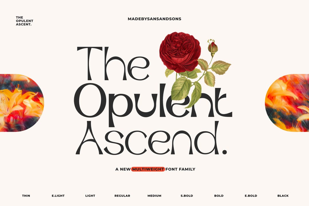 Opulent Ascend Sans Serif Font Family: Elegant Modern Font - Etsy