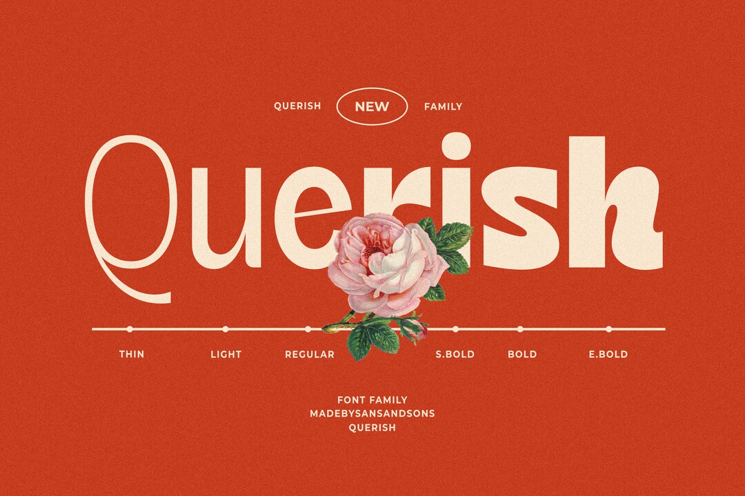 SNS Querish Font: Modern Sans Serif for Cricut & Canva - Etsy