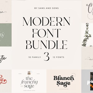Special 48 Font Bundle Vol. 2 - Cricut Font, Procreate Font, Canva Font ...