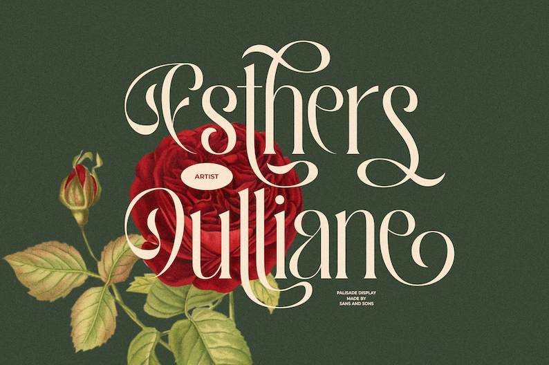 Palisade Display Font: Chic Serif, Modern Logo Font - Etsy