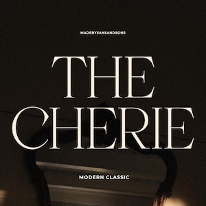 Chateau Noir - Elegant Font, Logo Font, Canva Font, Cricut Font ...