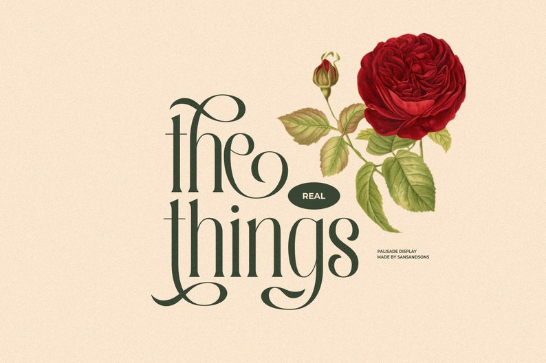 Palisade Display Font: Chic Serif, Modern Logo Font - Etsy