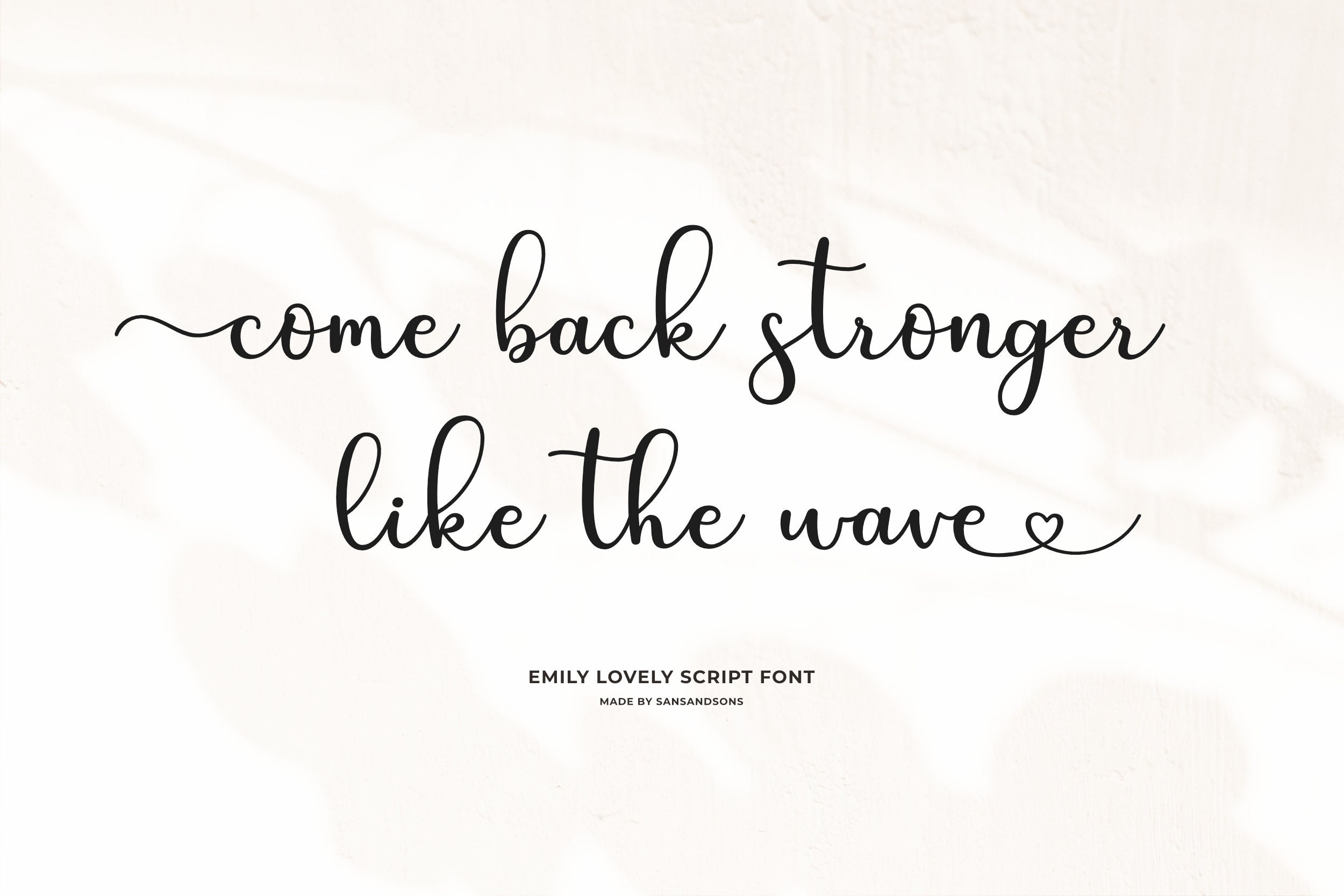 Emily Script Font: Elegant Calligraphy, Wedding & Cricut Font - Etsy