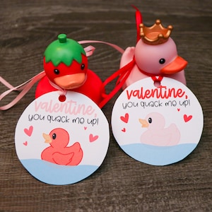You Quack Me up Valentine | Duck Theme Valentine | Valentines Day ...