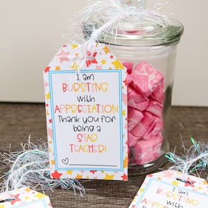 Bursting With Appreciation | Teacher Appreciation Printable Tags ...