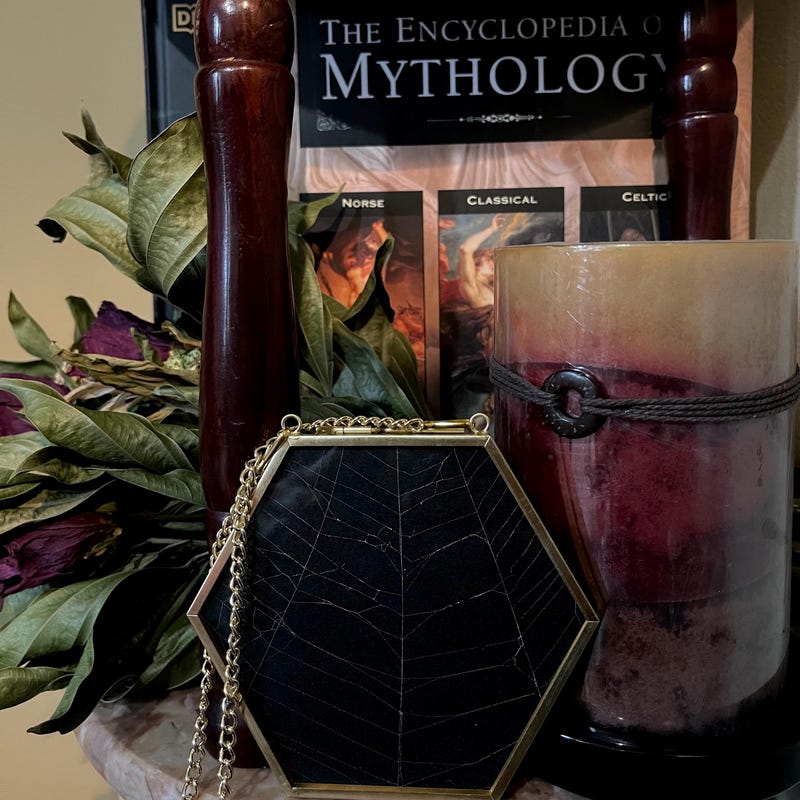 Framed Spider Web - Etsy