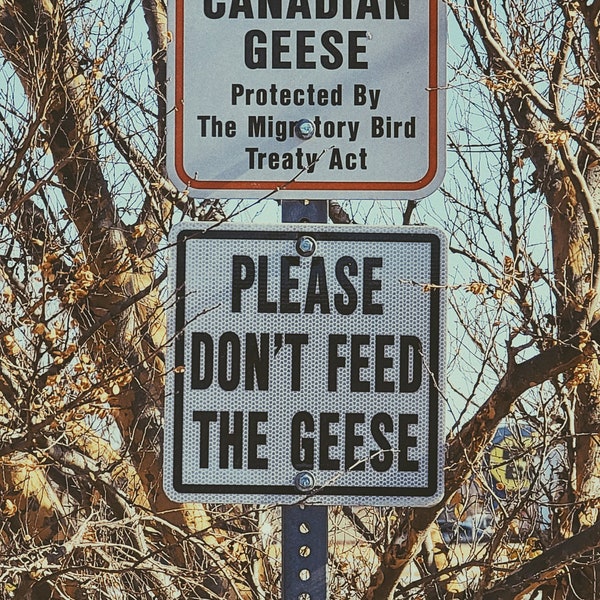 Bird Warning Sign - Etsy