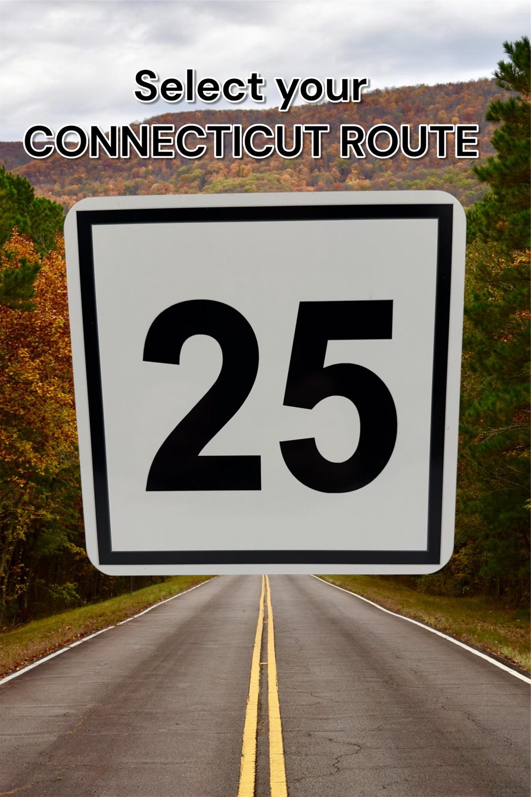 CONNECTICUT CUSTOM State ROUTE Metal Aluminum Highway Road Sign 6"x6 ...