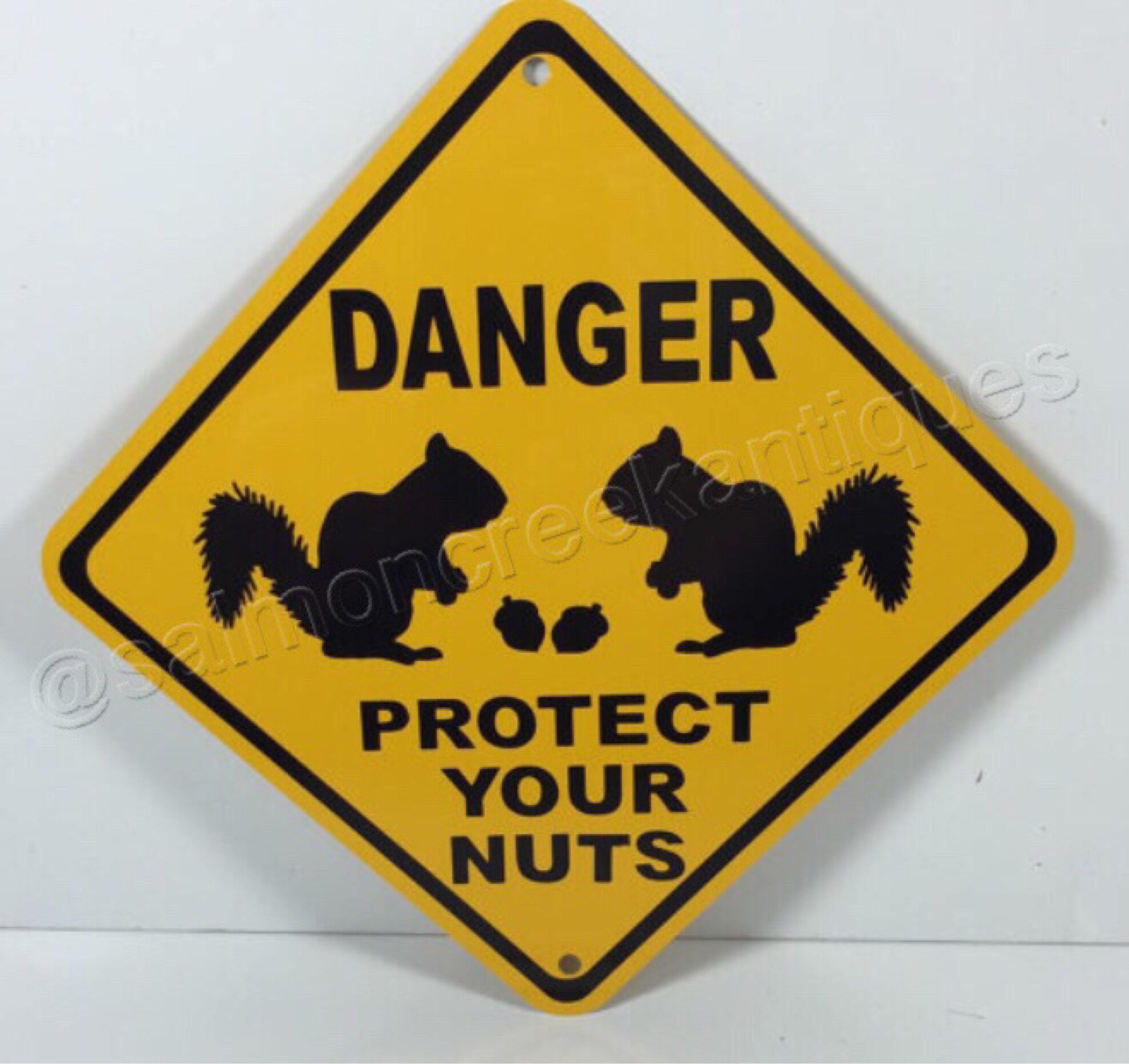 Dramatic Squirrel Drops Nut