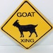 Goat Xing Metal Yellow Farm Caution Crossing Sign 6x 6 or 12x12 NEW 2 ...