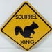 Squirrel Xing Mini Metal Yellow Farm Caution Crossing Sign 6x6 or 12x12 ...