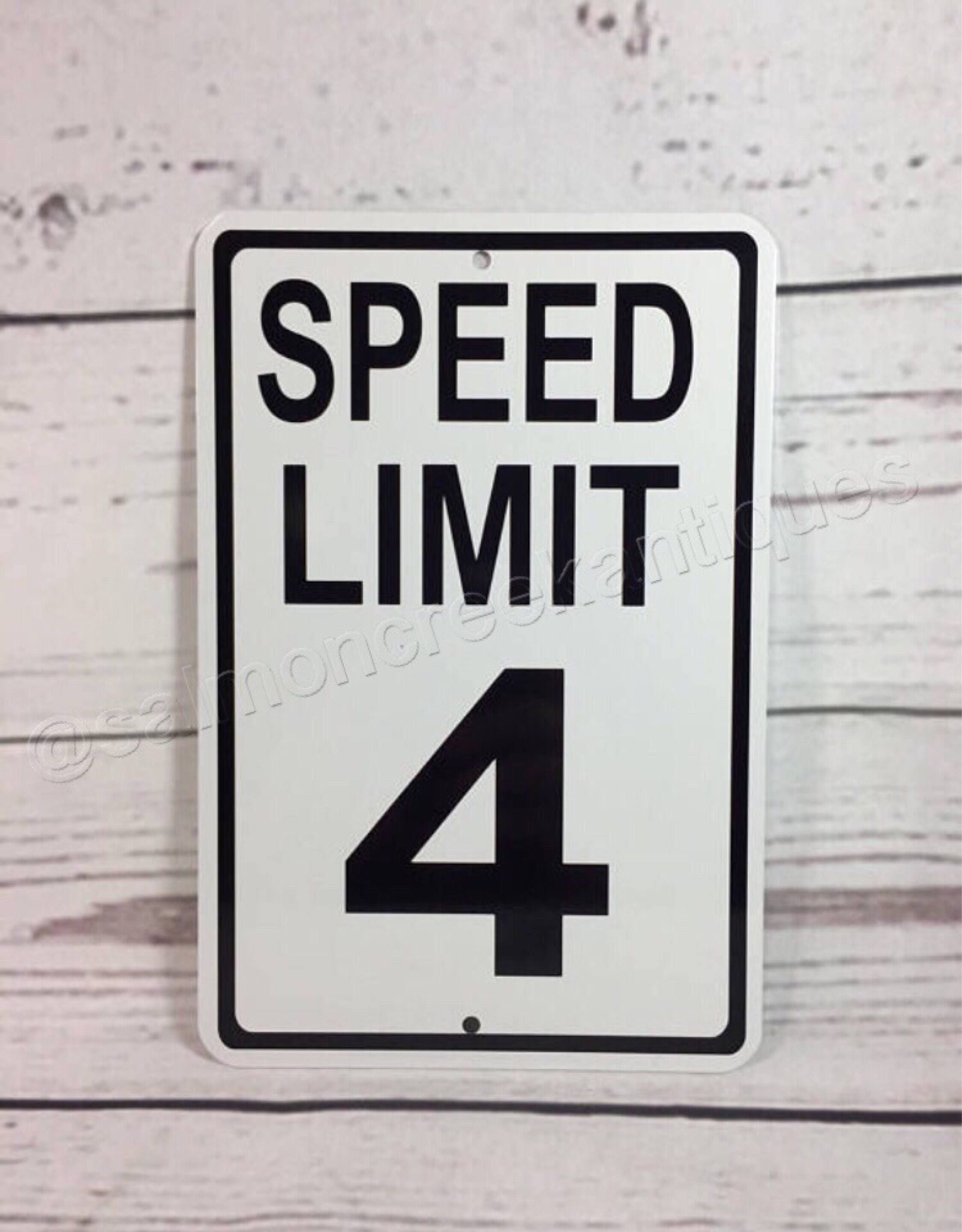 Speed Limit 4 Metal Sign: 4th Birthday Party Decor - Etsy UK