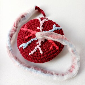Model Set for Childbirth Education, Baby Birth, Uterus Womb Umblicical ...