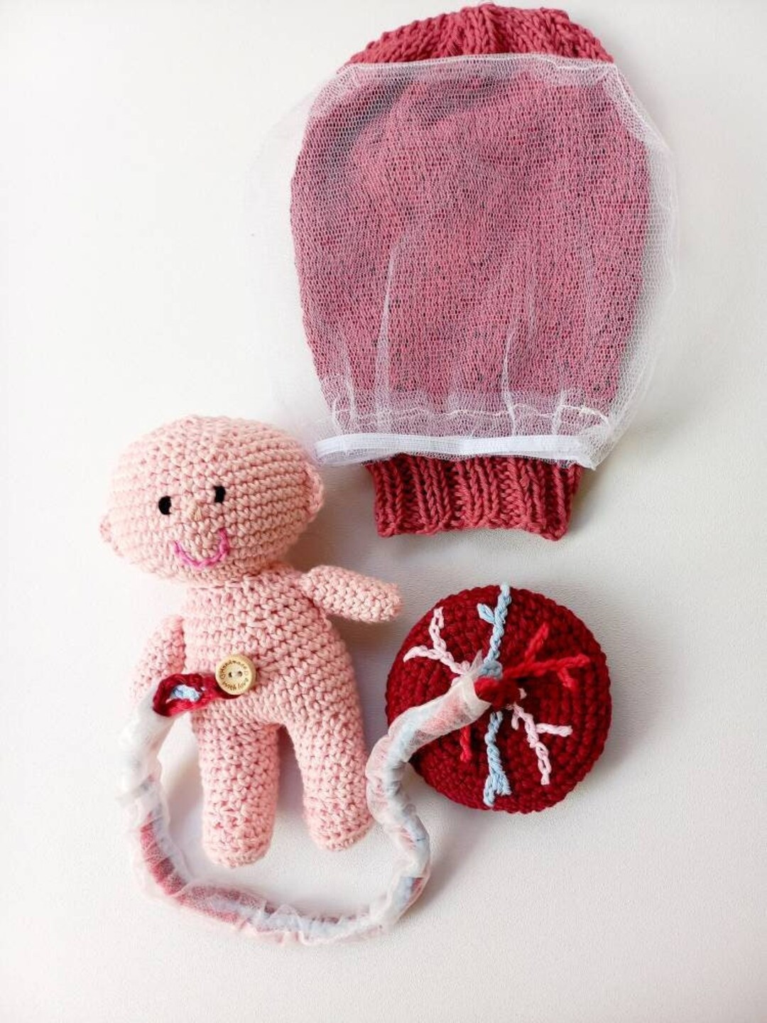 Model Set for Childbirth Education, Baby Birth, Uterus Womb Umblicical ...