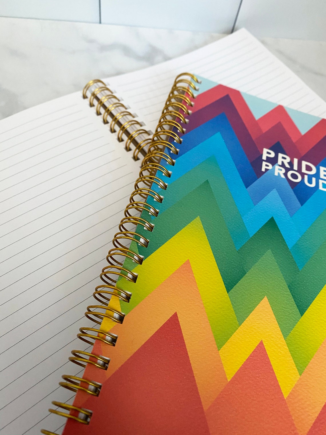 Pride Notebook Set 4 Complete Notebooks Etsy
