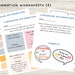 Affirmation Station Classroom Kit Positive Affirmations - Etsy